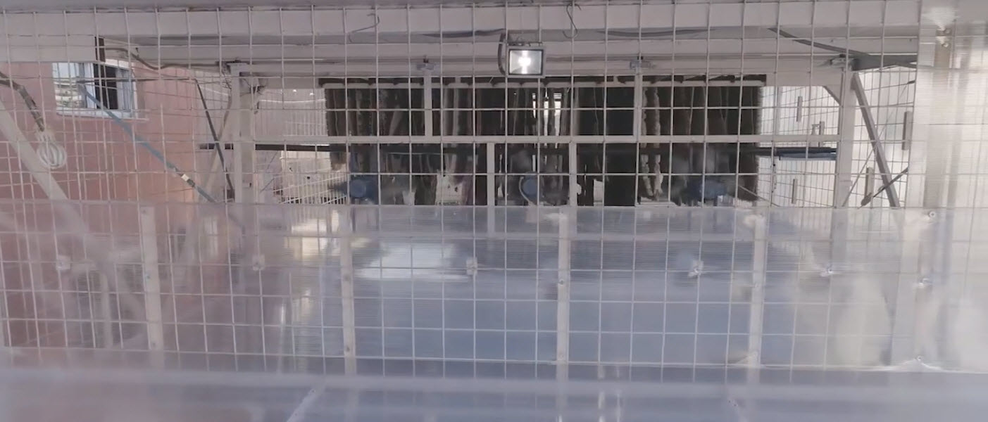ROBOT TEPIH SERVIS PODGORICA